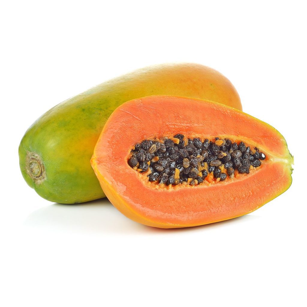 aubergine africaine (diakhatou) - Afro-Exotique