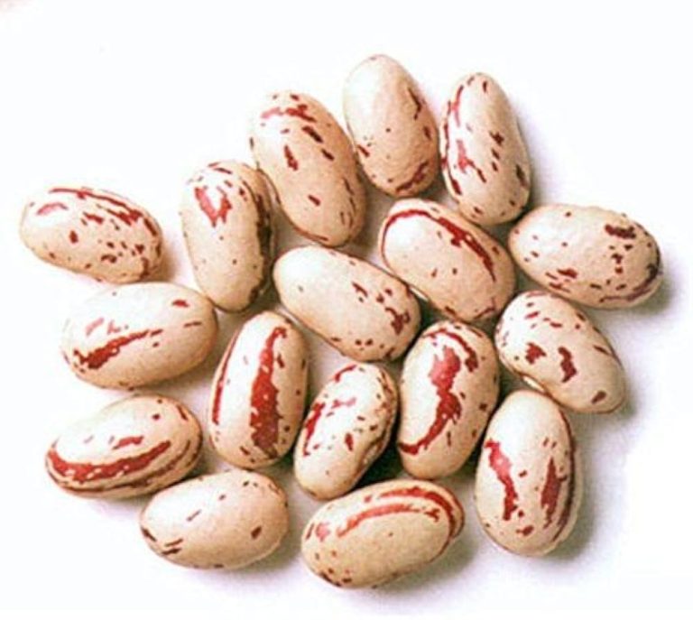 Dried Coco Rose Beans 1kg - Afro-Exotic